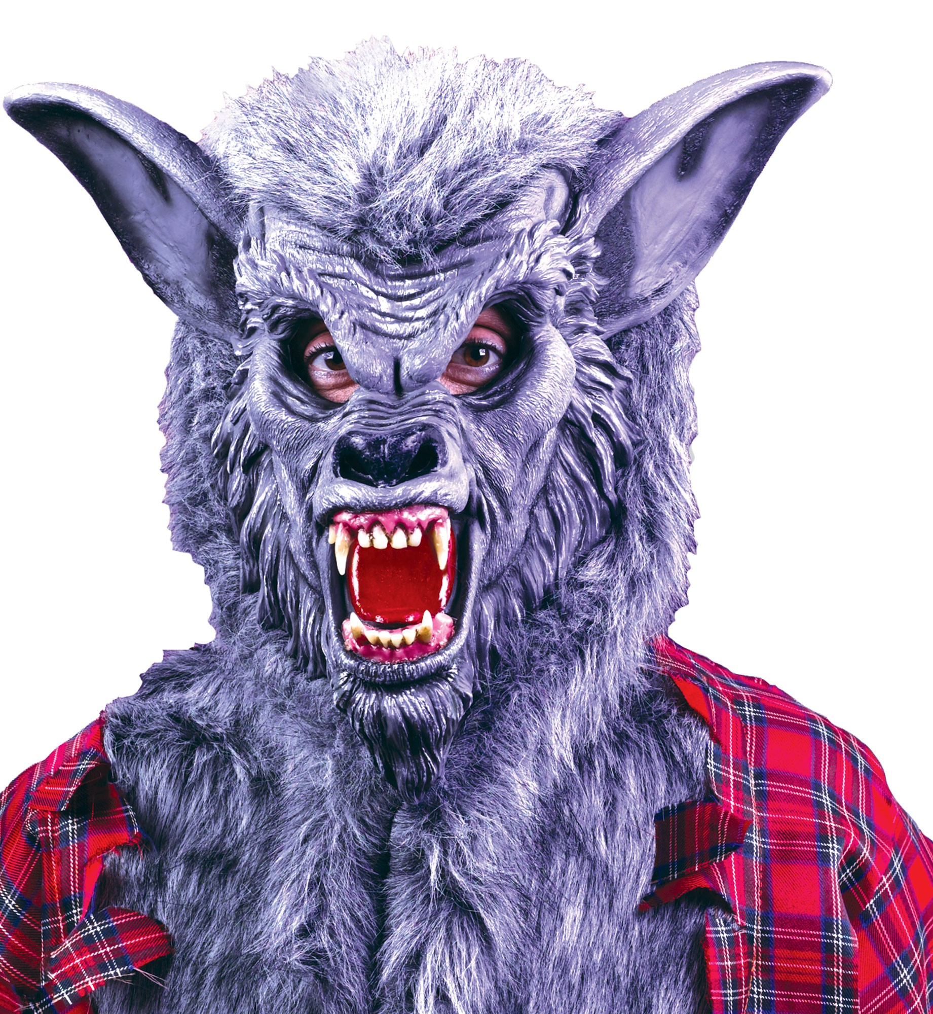 Grey Werewolf – Beauty and the Beast Costumes, Chattanooga